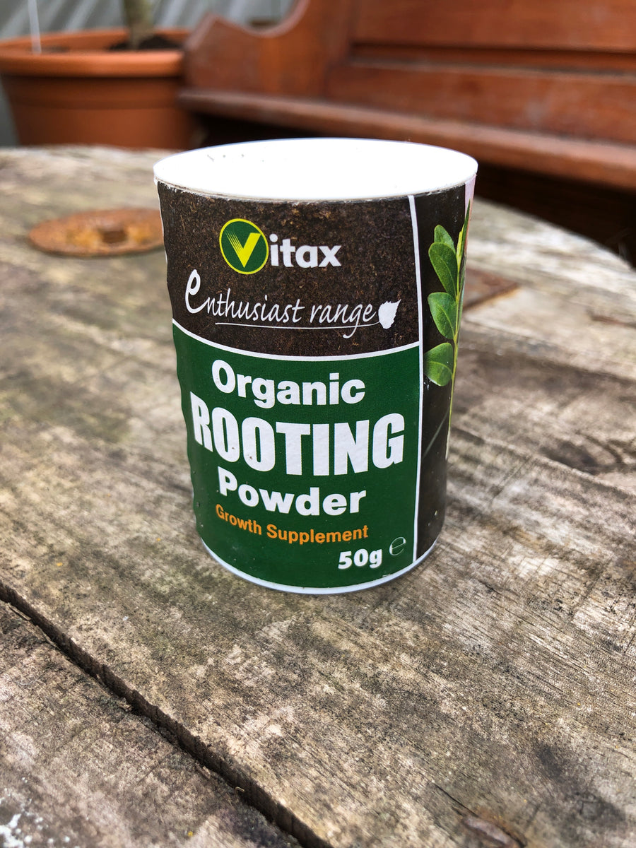 Organic Rooting Powder 50G – Woolley Moor Nurseries